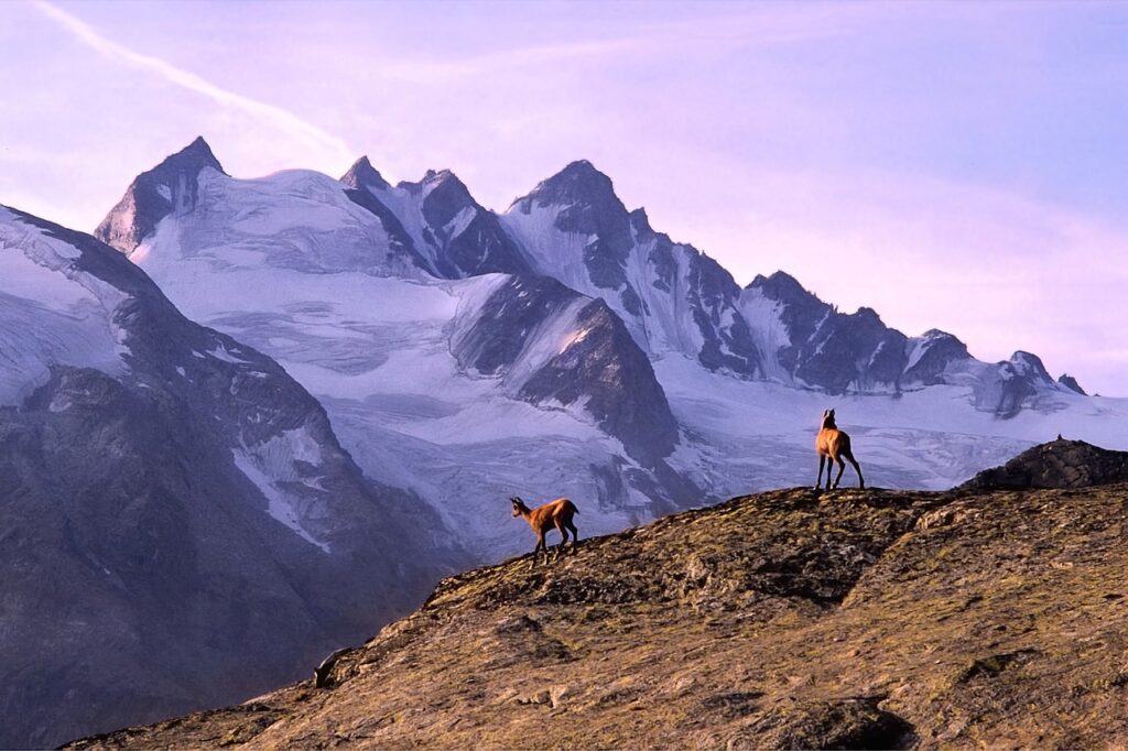Discovering the Natural Treasures of Italy's National Parks - ITALIA MIA