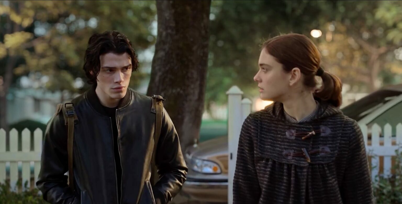 Top Italian Movies of 2024 - ITALIA MIA